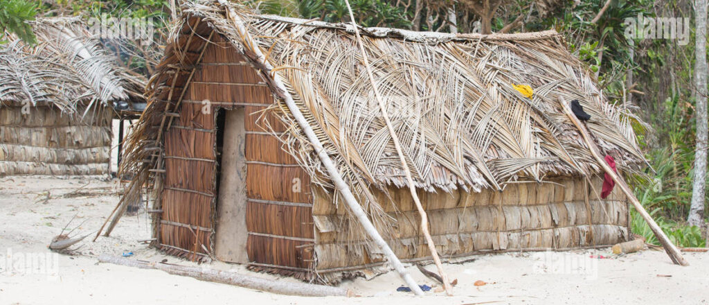 ヤナバ島「シャークピープル/パプアニューギニア」のwikiの正体とはサメ民族で意味や地図の場所も! - 次の人類へ向けて新たな歴史を作るため ...